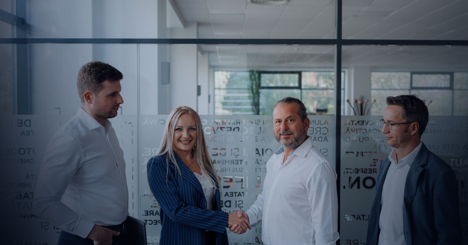 Parteneriate | BRINEL